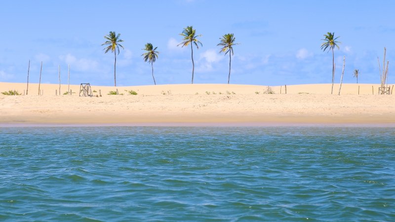 Passeio de barco Foz do rio São Francisco, vale a pena? Dicas (2021)