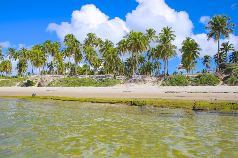 O que fazer na Praia do Francês - Atrações, dicas de passeios, fotos
