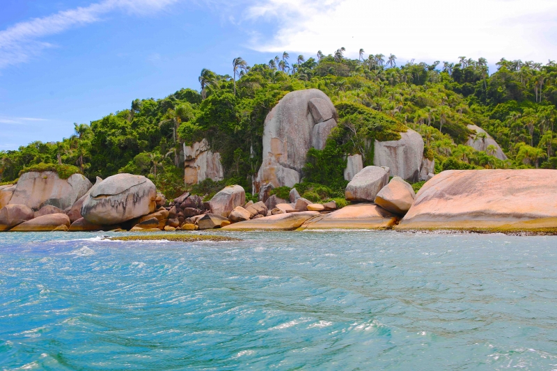 O que fazer na Ilha do Campeche - Como Chegar - MELHORES DICAS