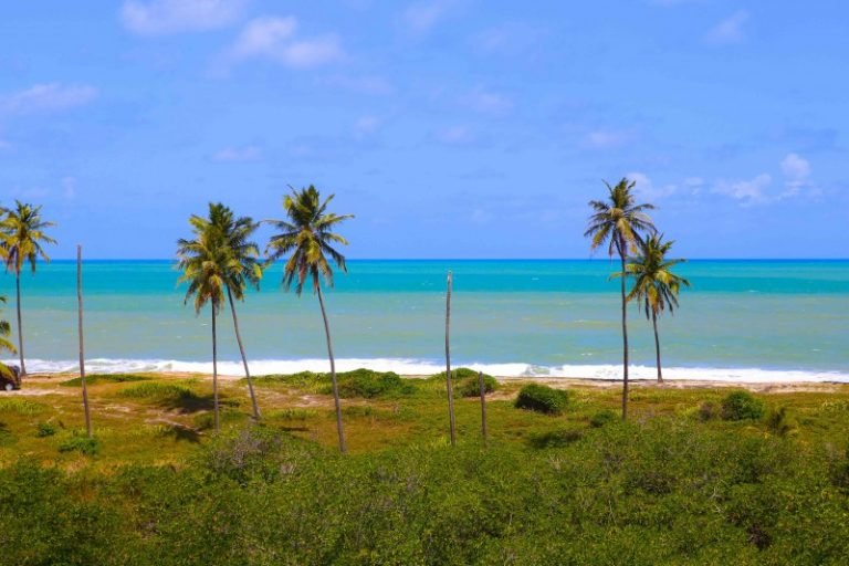 O que fazer em Maceió - AL: Melhores pontos turísticos e passeios