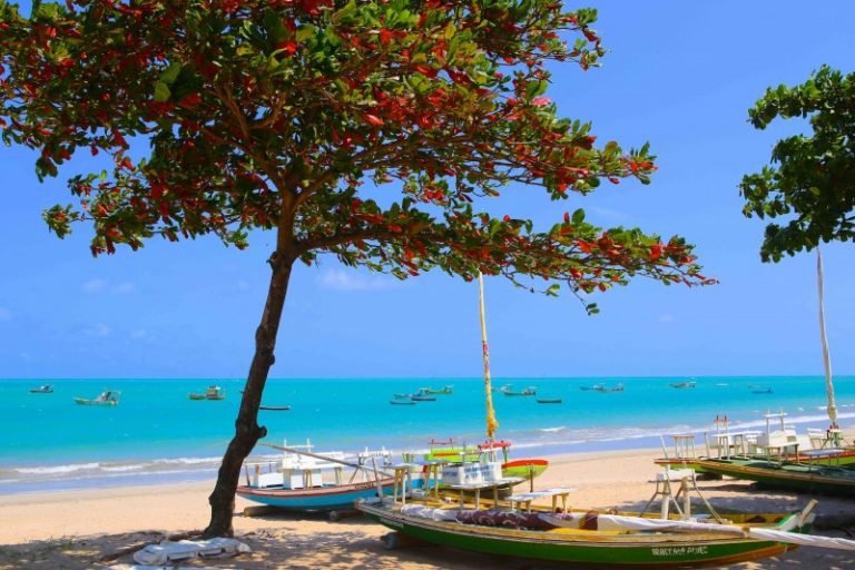 O que fazer em Maceió - AL: Melhores pontos turísticos e passeios