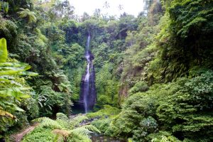 O que fazer em Bali - Indonésia: dicas e roteiro para visitar a ilha
